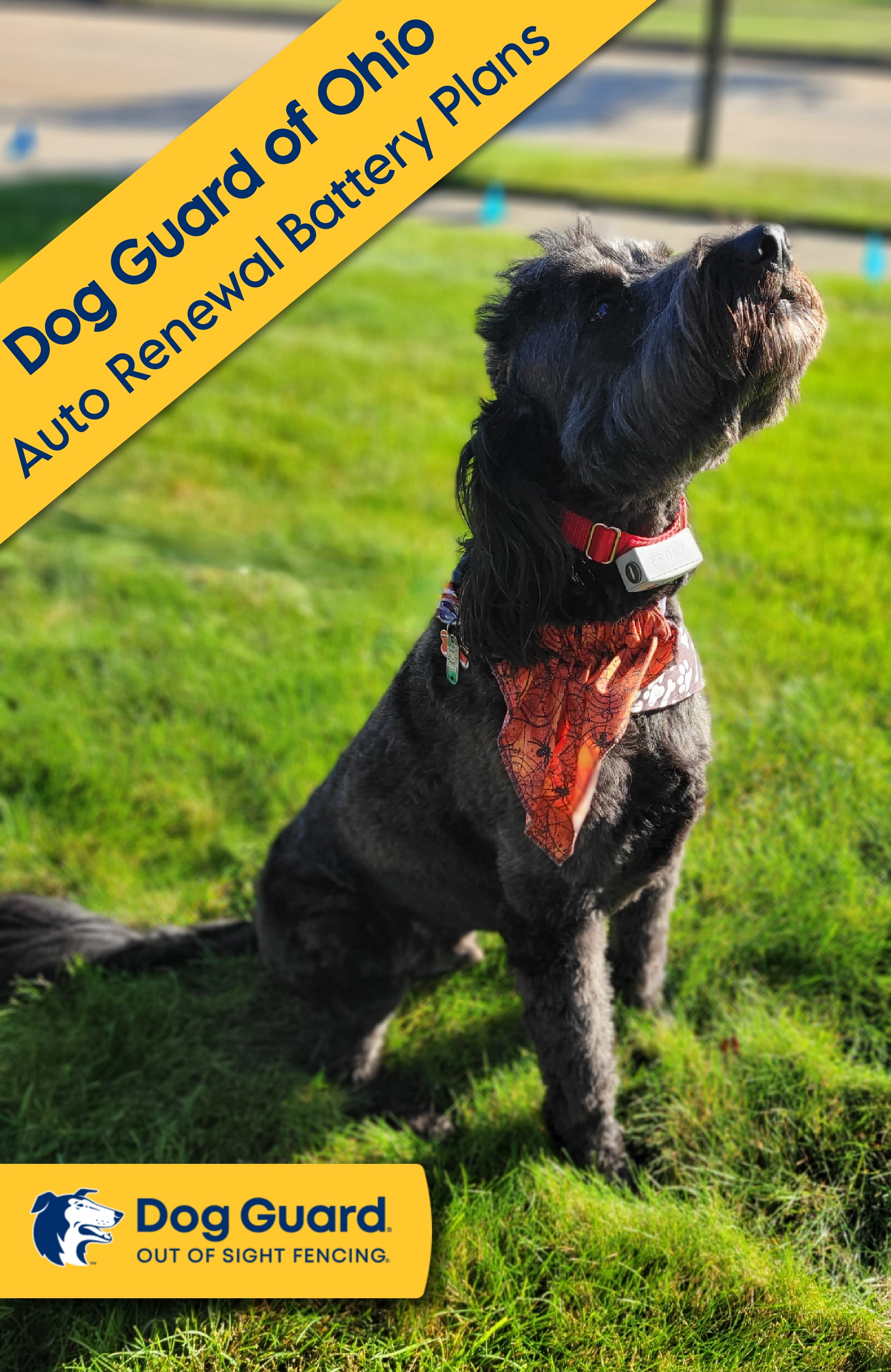 Dog Guard of Ohio Shop – Dog Guard Ohio Shop